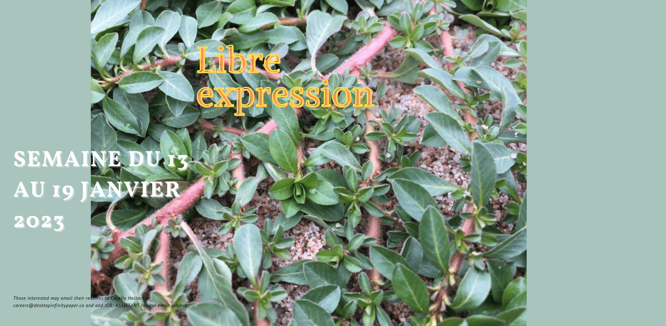 [Libre expression] Vous fabriquez l'info